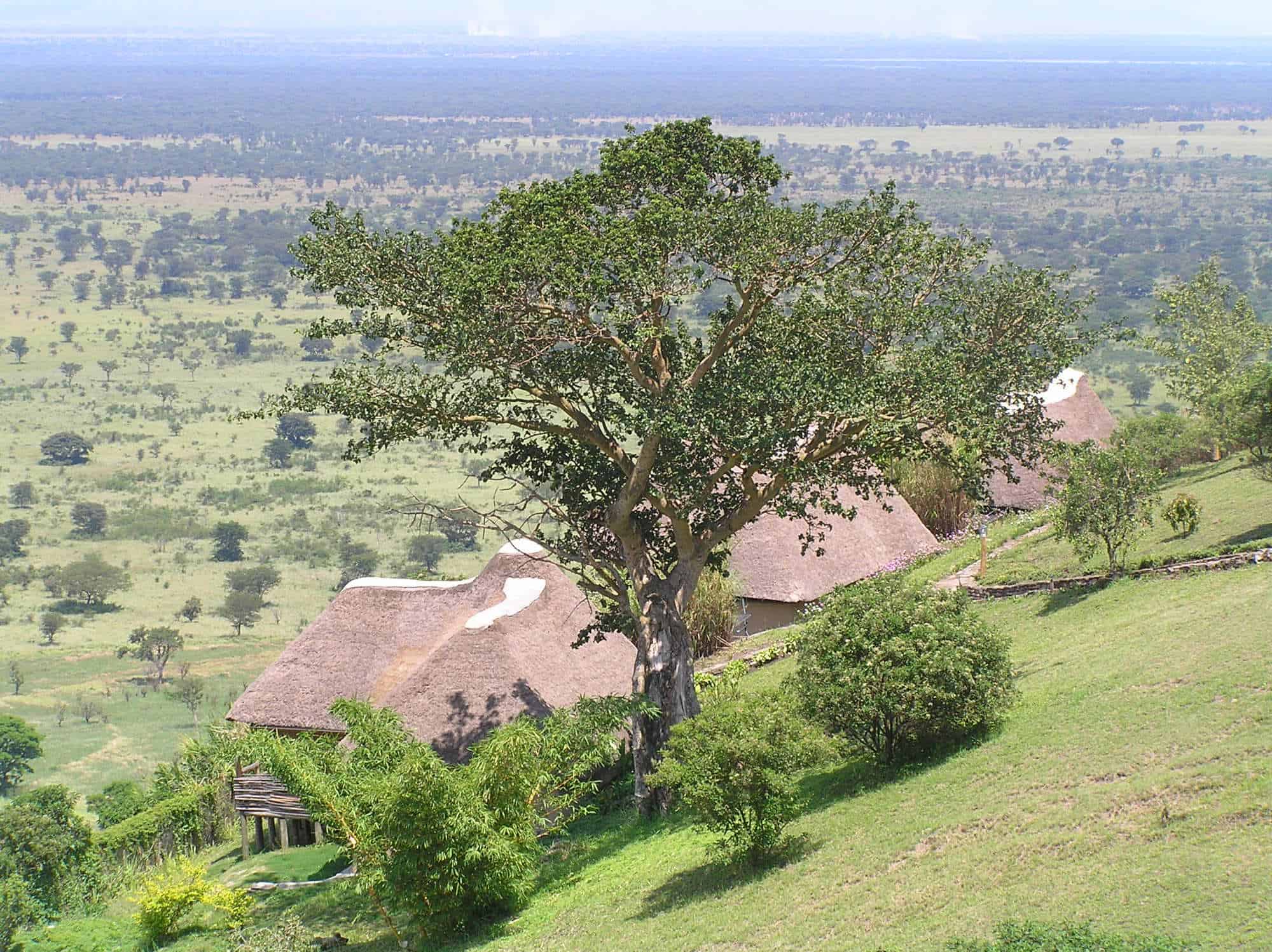 Uganda bespoke travel | Wild & Exotic